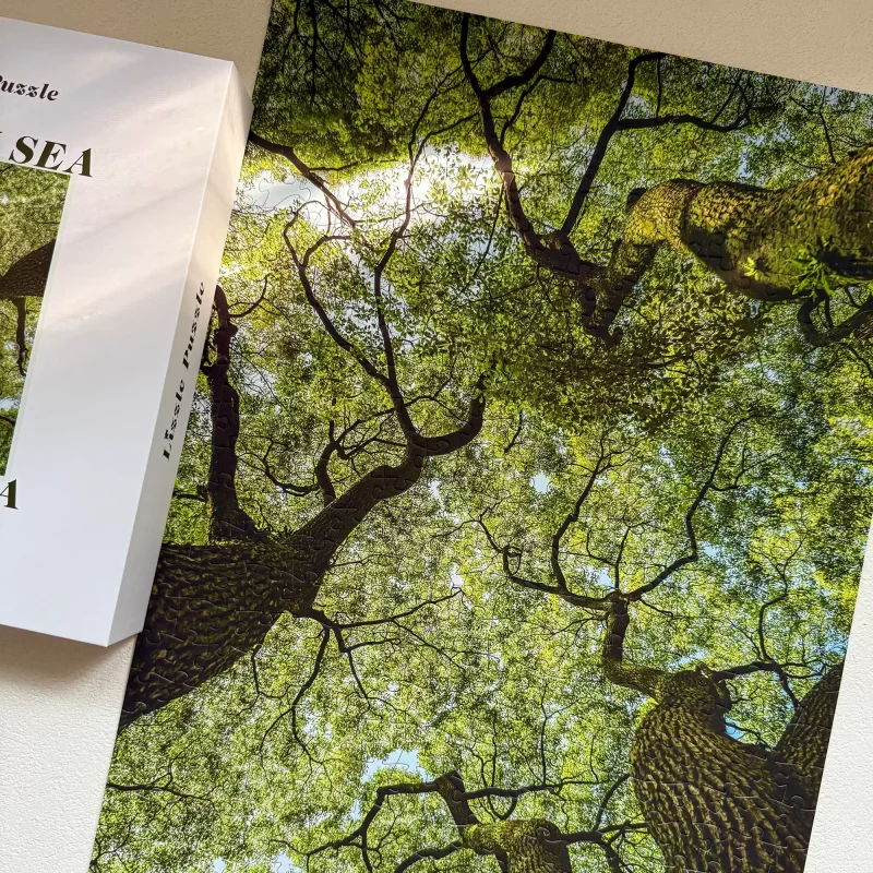 Lizzle Puzzle 500 Piece-Green Sea - TopPuzzleShop