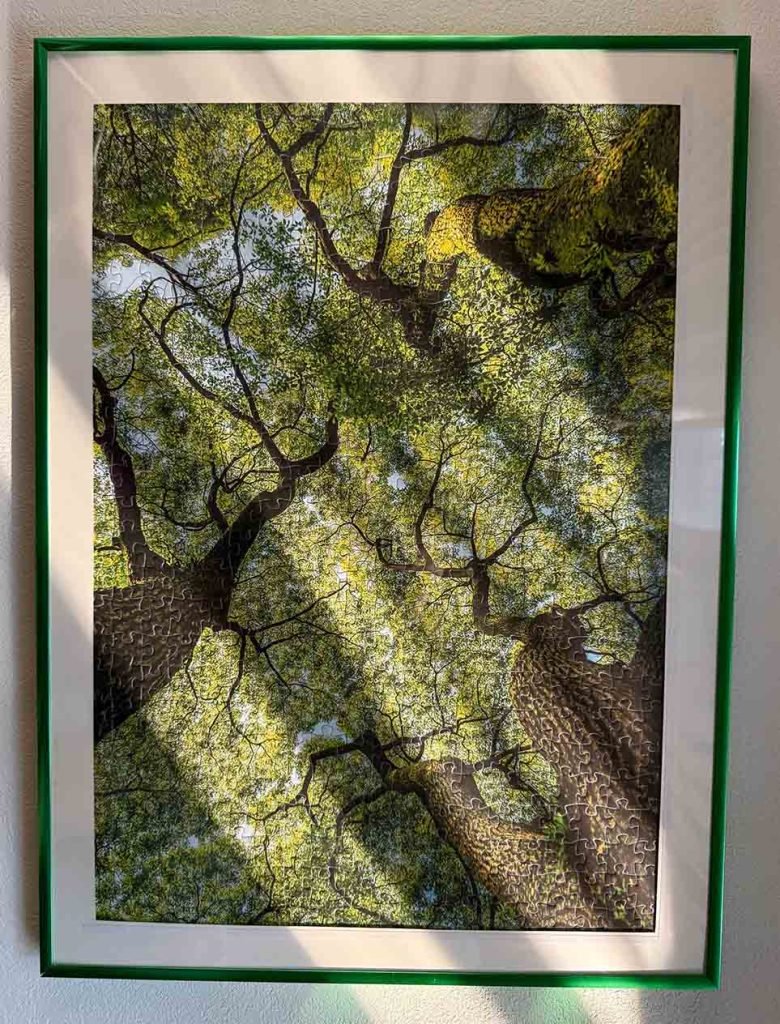 Lizzle Puzzle 500 Piece-Green Sea - TopPuzzleShop